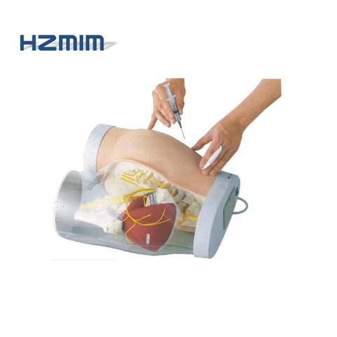 Realistic Medical Training Dummy CPR with Controller, CPR Manikin ...