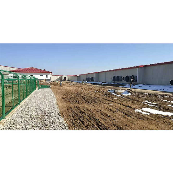 Steel Frame Pig Farm Structures - Durable & Efficient