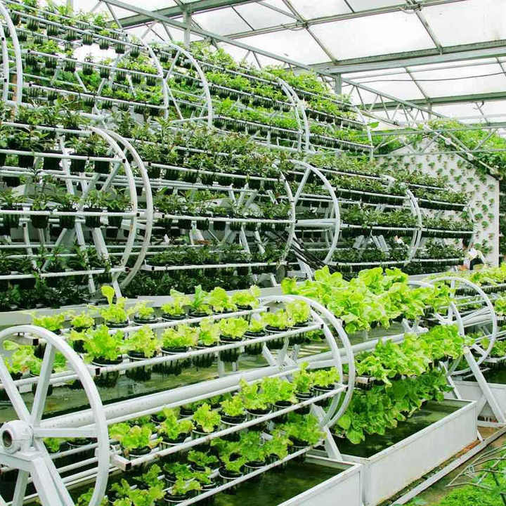 Vertical Farming Hydroponic Growing System - Glass Greenhouse