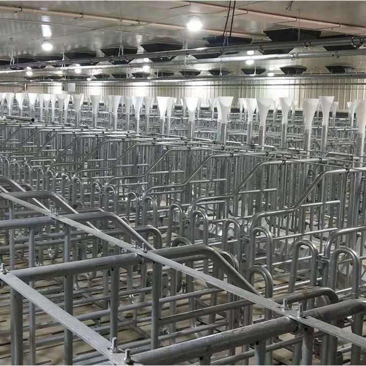 Long Span Steel Structure for Pig Farm - Q235 Piggery House