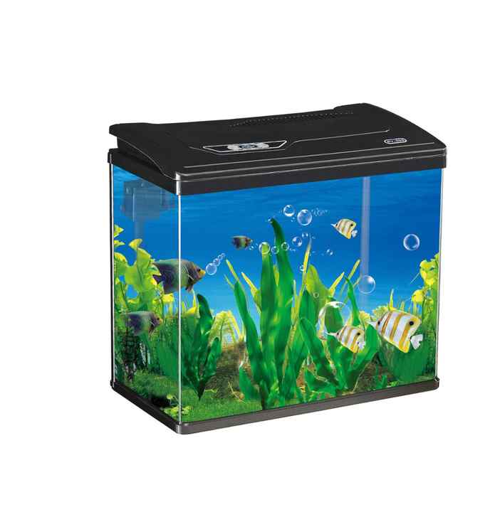 Wholesale Curved Modern Bar Counter Aquarium Fish Tank