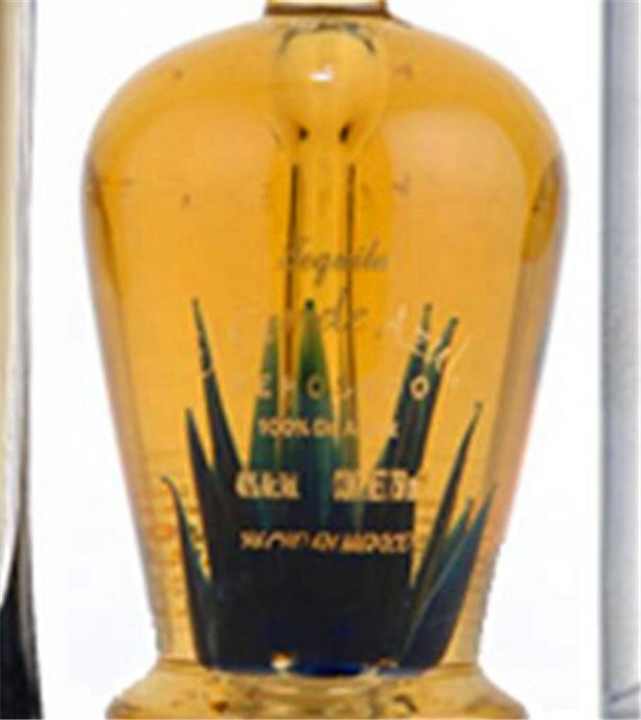 Aloe Bottle - Unique Art Wine Bottle with Blue Agave Design