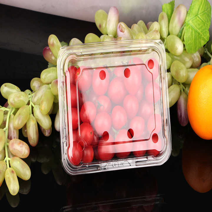 Fruit Box Container 500g Disposable Food PET Transparent Customized BT ...