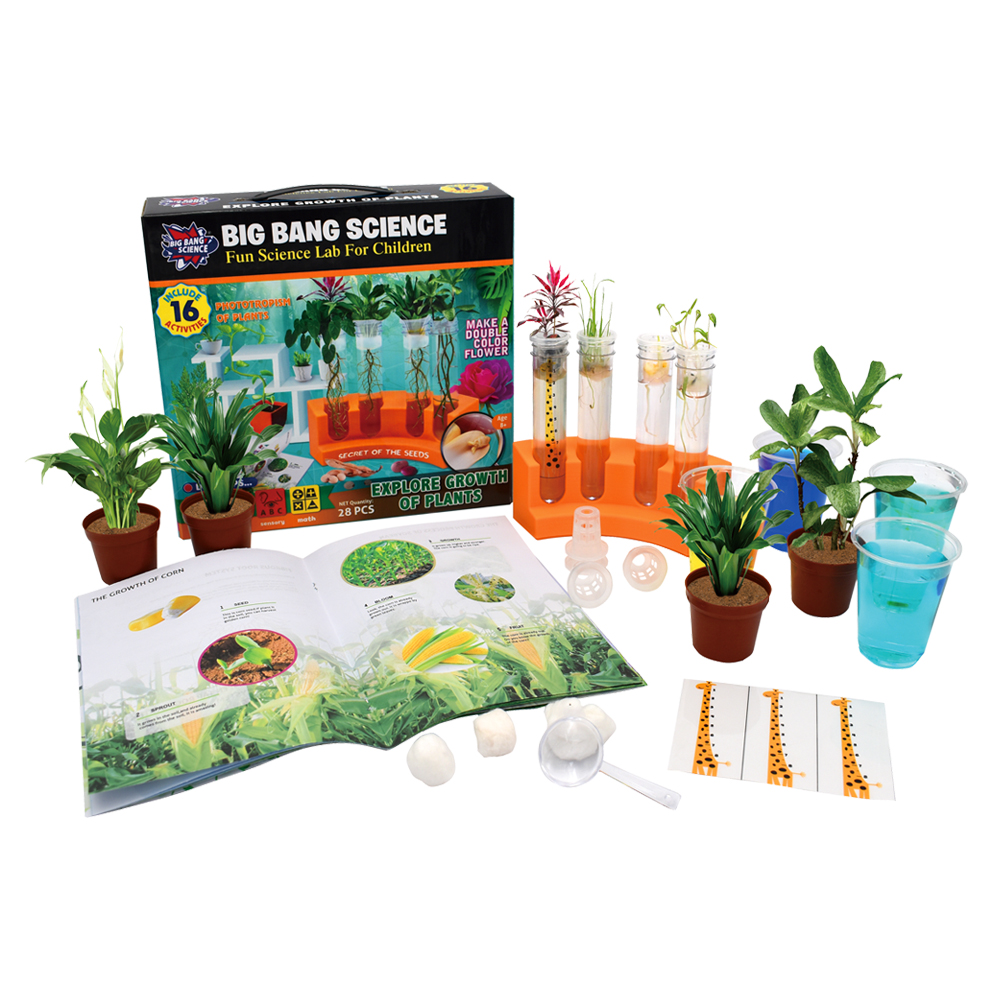 How to Choose the Best Grow a Garden Kids Starter Set