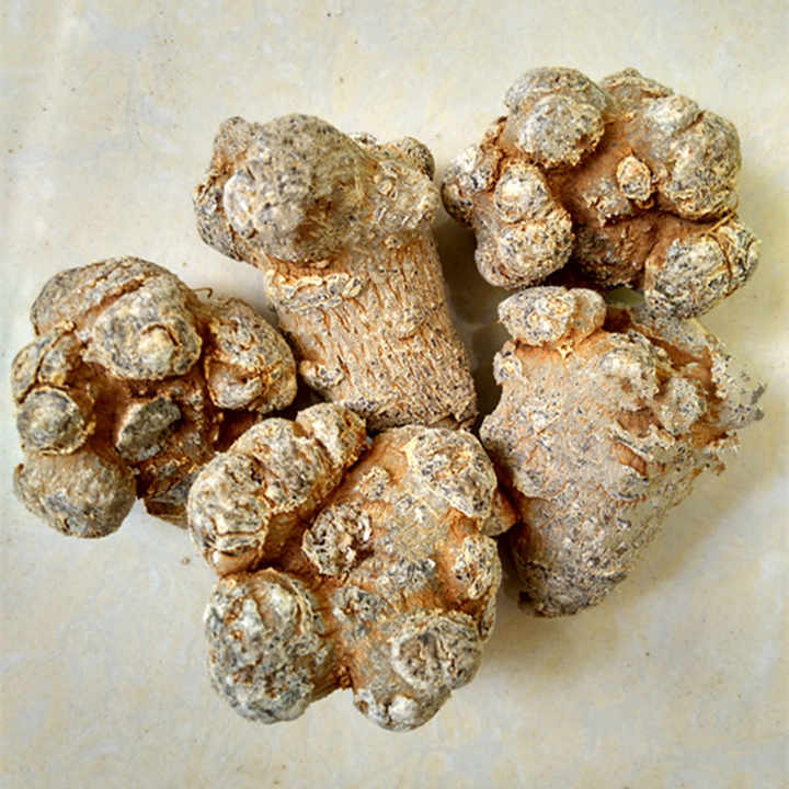 100% Pure Organic Radix Notoginseng Extract Powder