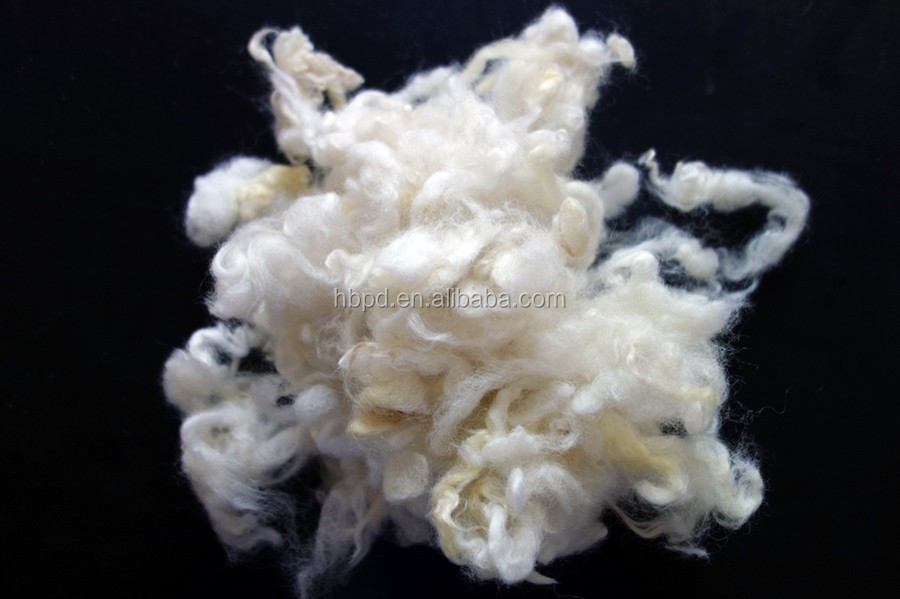 Scoured Washed Sheep Wool - High Quality & Efficiency