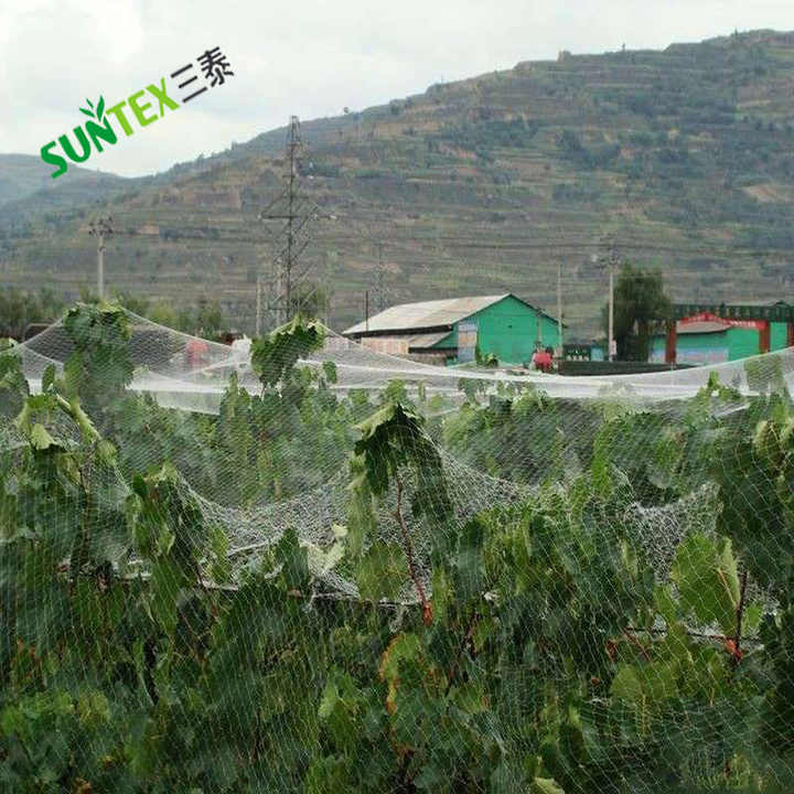 Invisible Bird Netting - Durable, Uv-Resistant Protection