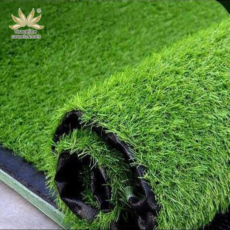 How to Choose Tiger Grass for Skincare: A Complete Buying Guide