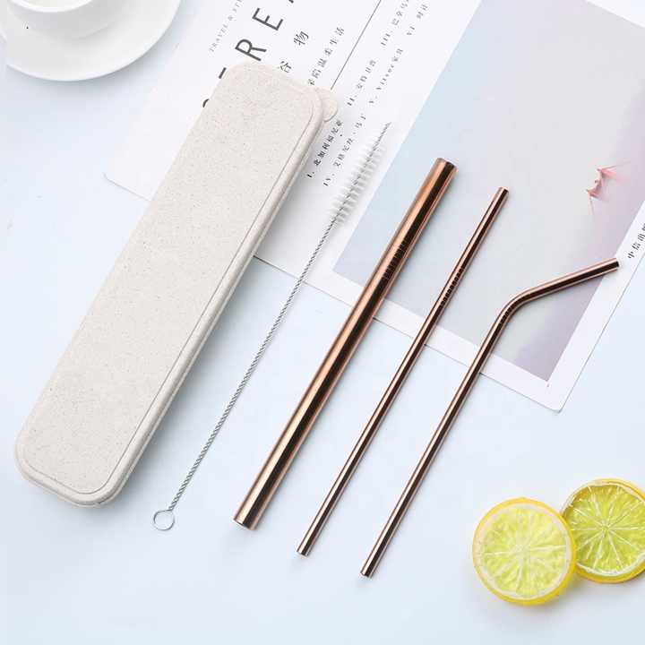 3 Reusable Stainless Steel Straws - Sustainable & Durable