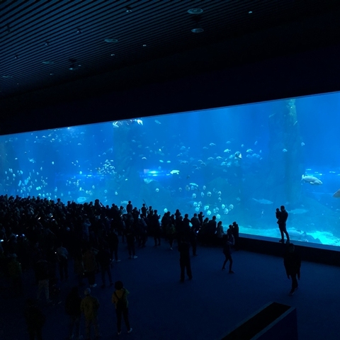 Square Fish Aquarium, Square Fish Aquarium direct from Suzhou Xingcheng ...