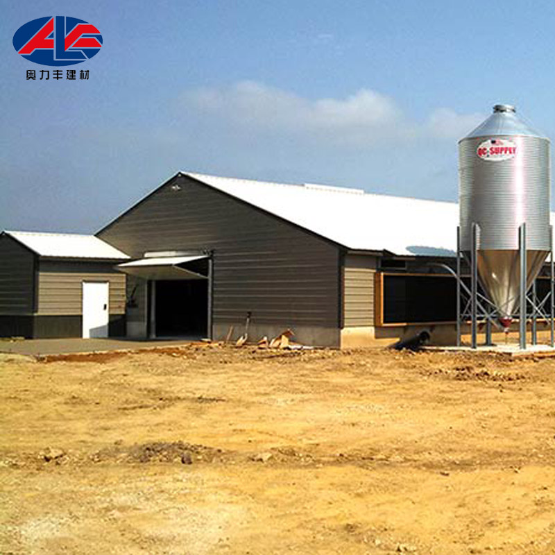 Modern Poultry House Design for Layers - Steel Structure