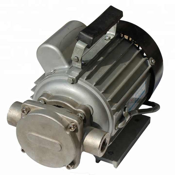 Haiwan Hot Oil Pump - High Pressure Cooking Oil Pump SS304
