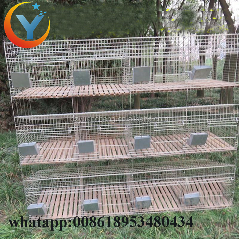 Sturdy Spacious cheap rabbit cages for Varied Animals - Alibaba.com