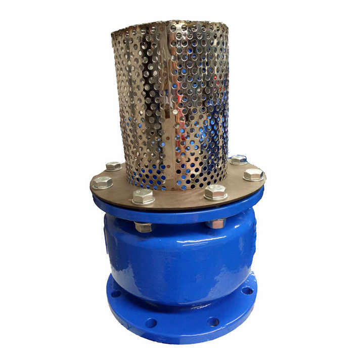 DN200 Foot Valve with Stainless Steel Filter for Water Protection