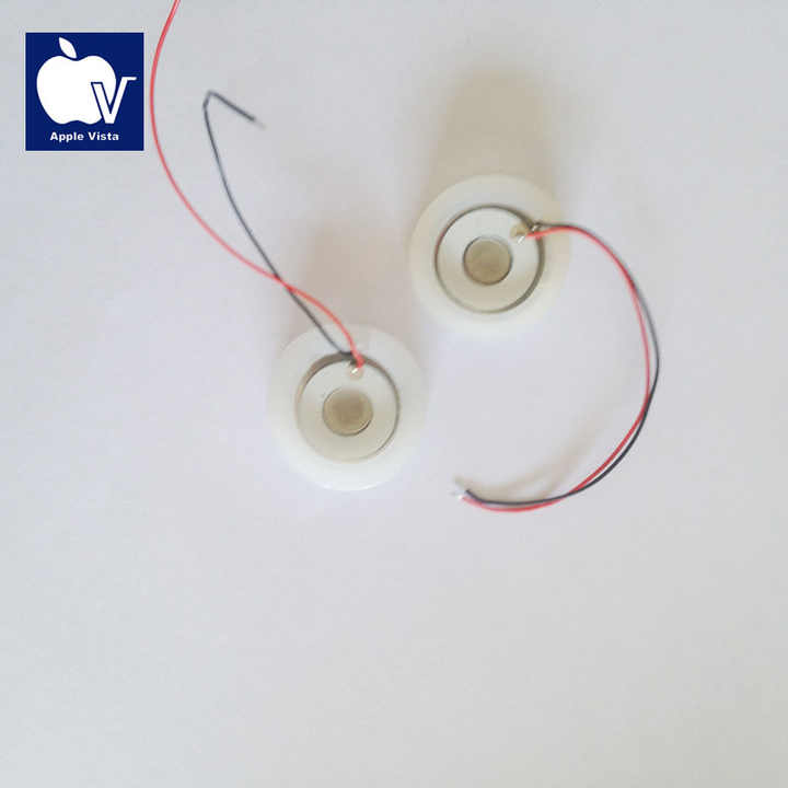 Ultrasonic Piezo Ceramic Chip for Medical & Industrial Use