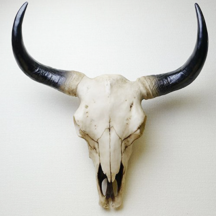 Verified Supplier Cow Skull Customizable Longhorn Design | Alibaba.com