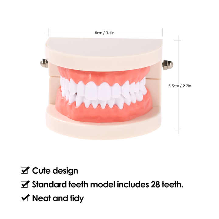 Plastic Dental Model Brain Models Animal| Alibaba.com