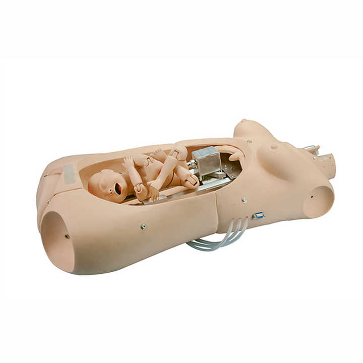 Half Body Maternity & Neonatal Delivery Manikin Simulator for Training ...