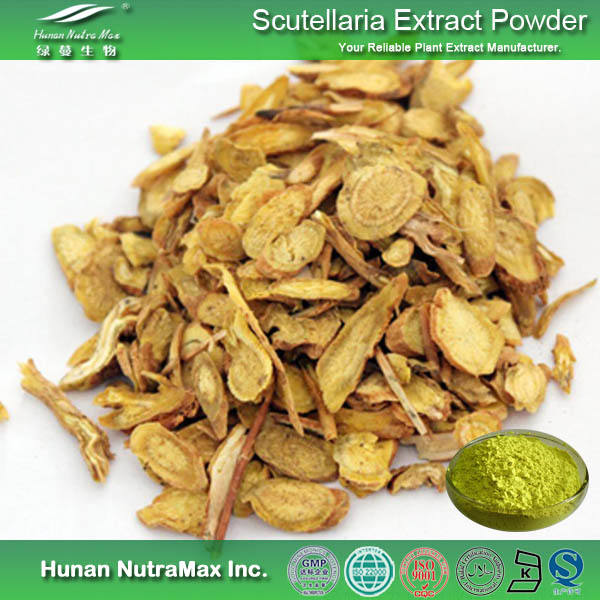 Chinese Herbal Baical Skullcap Root Extract Powder/ Scutellaria ...