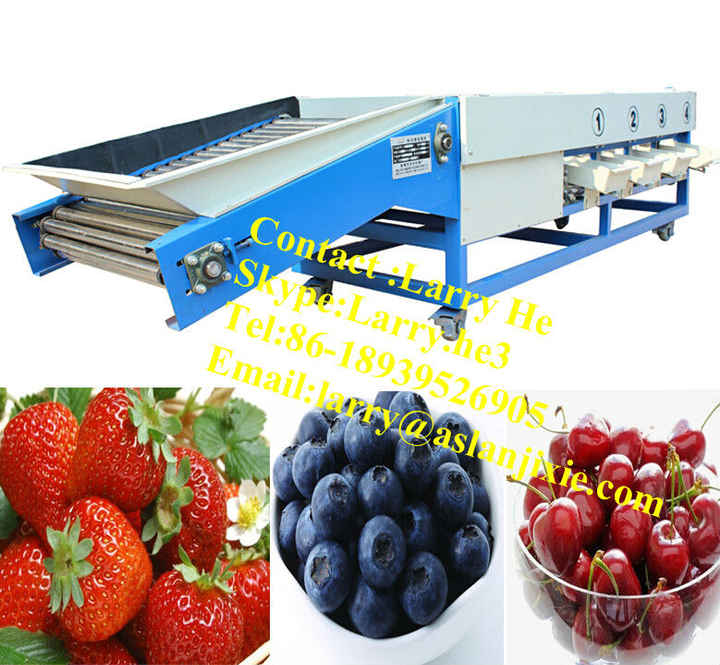 Blueberry Classifier/cherry Grader Machine/strawberry Grader