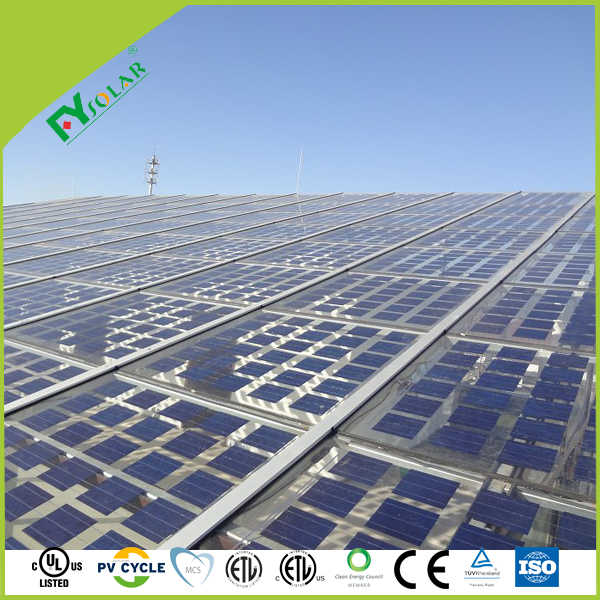 Transparent Solar Panels for Greenhouse and Window Use