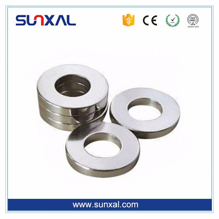 Low Price Uni Pole Radial Ring Magnet Welding Processing & Countersink ...