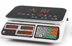 Acs System Electronic Scale - Precision and Reliability