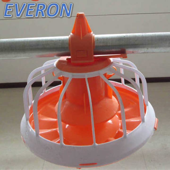 Efficient Poultry Feeding with Automatic Chicken Feeder