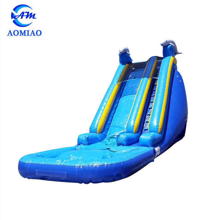 Commercial Largest Water Slide - Giant Inflatable Fun
