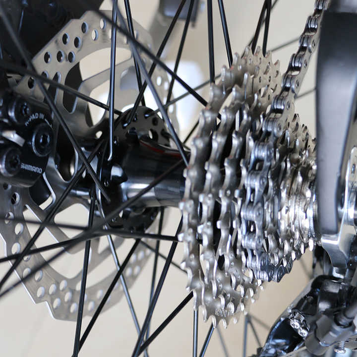 Bafang M400 G330.250 36v 250w Electric Bike in Philippines