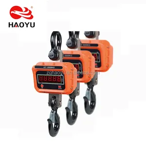 Stable Weighing Scale for Overhead Crane for High Accuracy Measurement ...