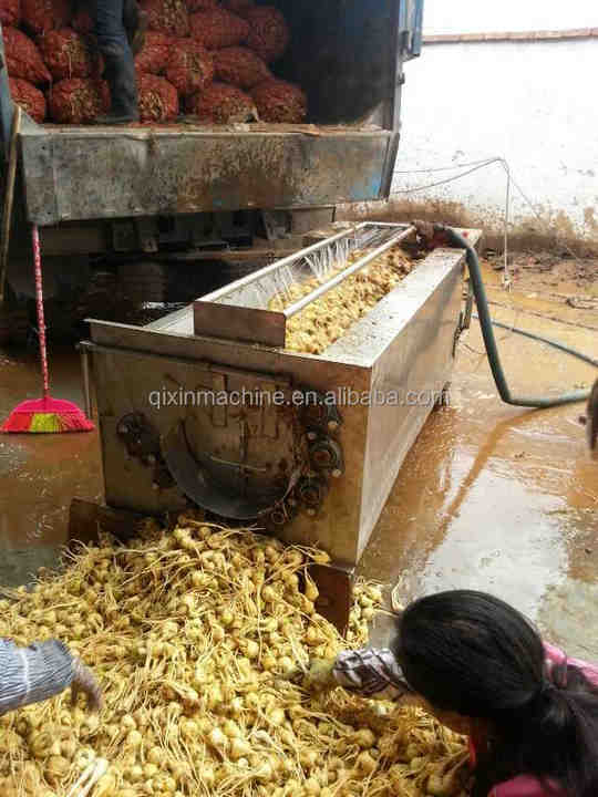 Ginger Peeling Machine - Efficient & Durable Solutions