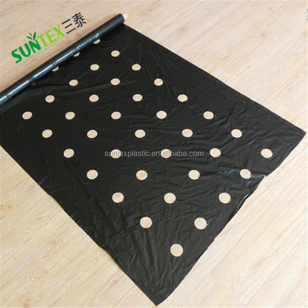 Durable and Cost-Effective agriculture weed mat control mulch mat for ...