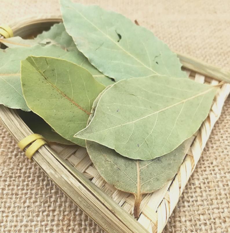 How to Choose the Best Golden Laurel for Your Needs