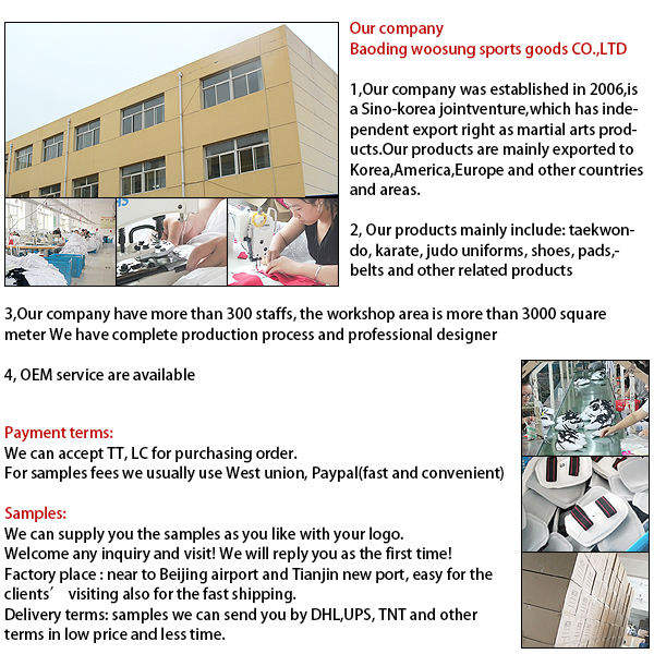 How to Choose the Best Shift Taekwondo Gear for Your Training Needs