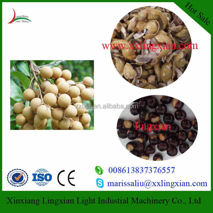 Lychee, ramboutan, longane Seed Separator Machine 2-3 t/h Litchi ...