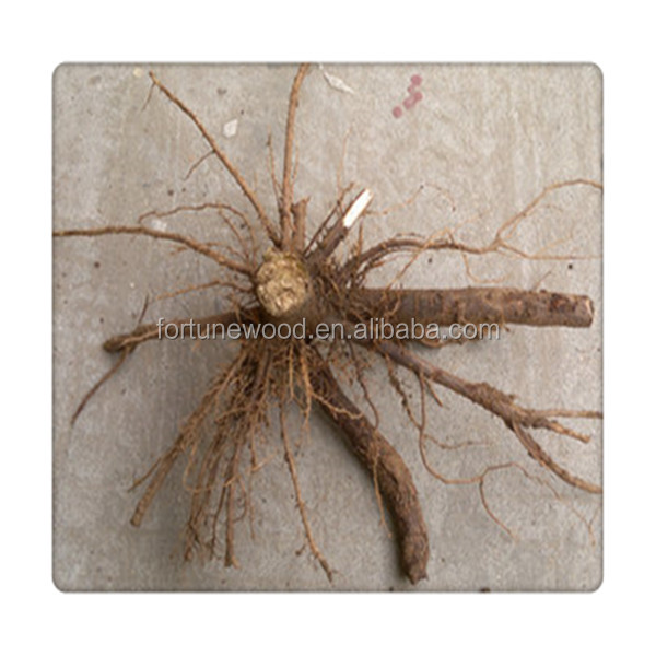 How to Choose the Best Nanari Roots: A Complete Buying Guide