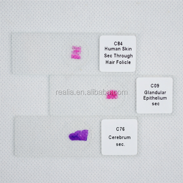 100Kinds of Human Histology Slides for Teaching & Research