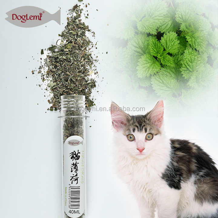 Fresh Catnip Organic Nature Bottle Catnip for Cats Kitten