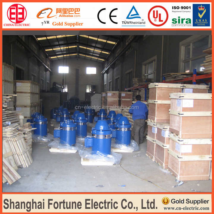 VHS Vertical Hollow Shaft Electric Motors - Reliable Power