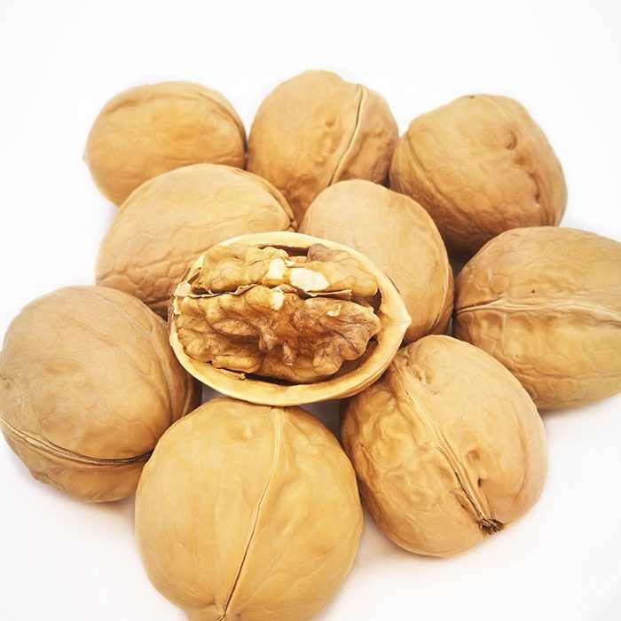 Tasty Snack Chinese Dried Walnut in Shell/ 2023 Walnut Kernel Price ...