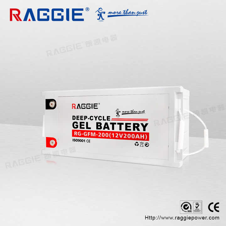 RAGGIE Gel 200ah Lead Acid Solar Battery for Solar Systems