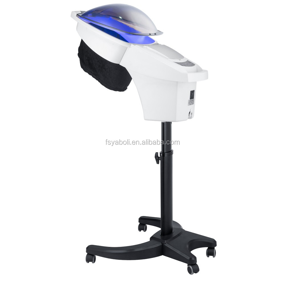 Portable 3-in-1 Hair Steamer Machine with Ozone Nano Mist & LED Light ...