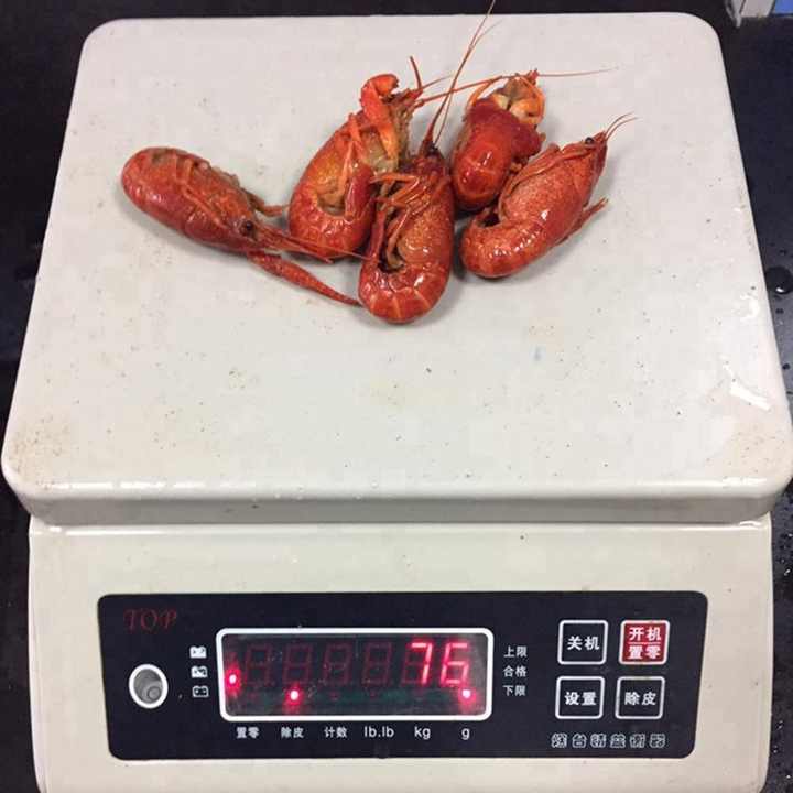 New Season Frozen Cooked Crawfish/crayfish - 10-15pcs/lb