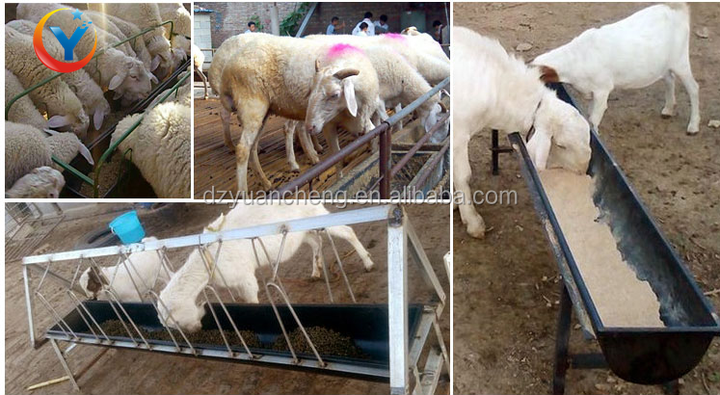 Plastic Troughs for Sheep and Goat Farming - Durable Feeders