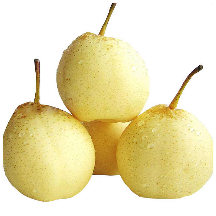 Chinese Fresh Yellow Ya Pear - A Grade Organic Pome Fruit
