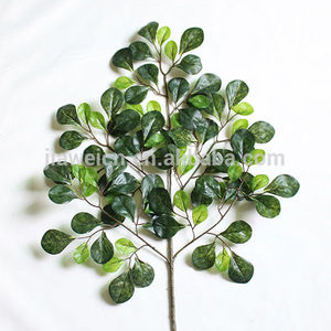 Whole plastic money tree Can Make Any Space Beautiful and Vibrant ...