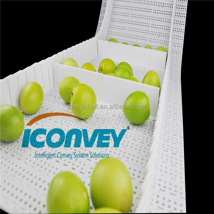 Hongsbel Modular Belt Band Inclined Conveyor - Flexible & Easy Maintenance