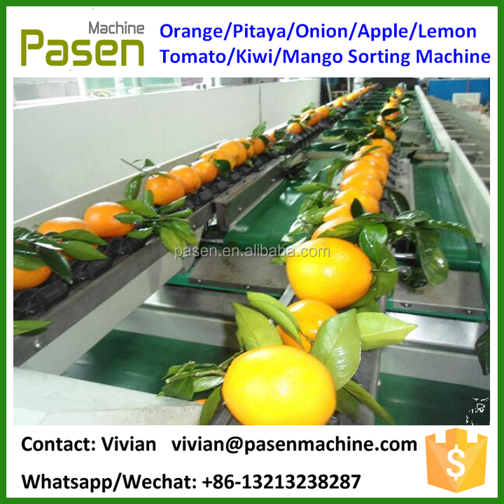 Fruit Weight Sorting Machine - Efficient & Reliable Solutions