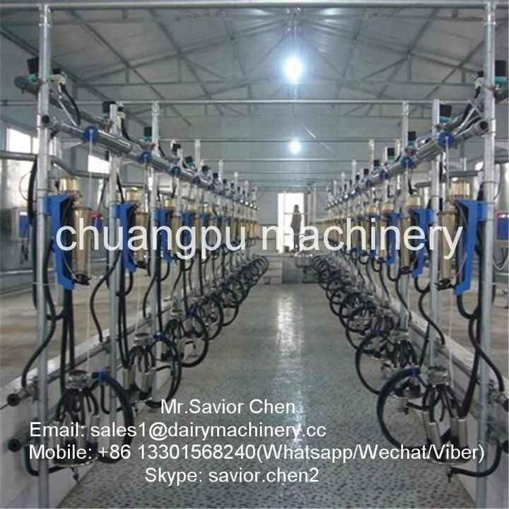 Dairy Farm Automatic Milking System - Efficient & Reliable